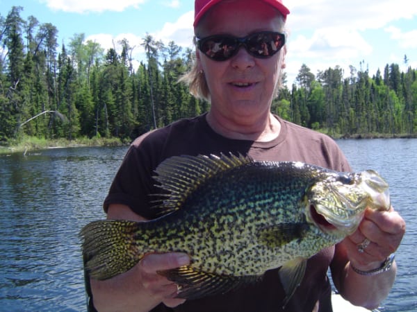 Dogtooth Lake Resort - Gallery - Kenora, Ontario Fishing